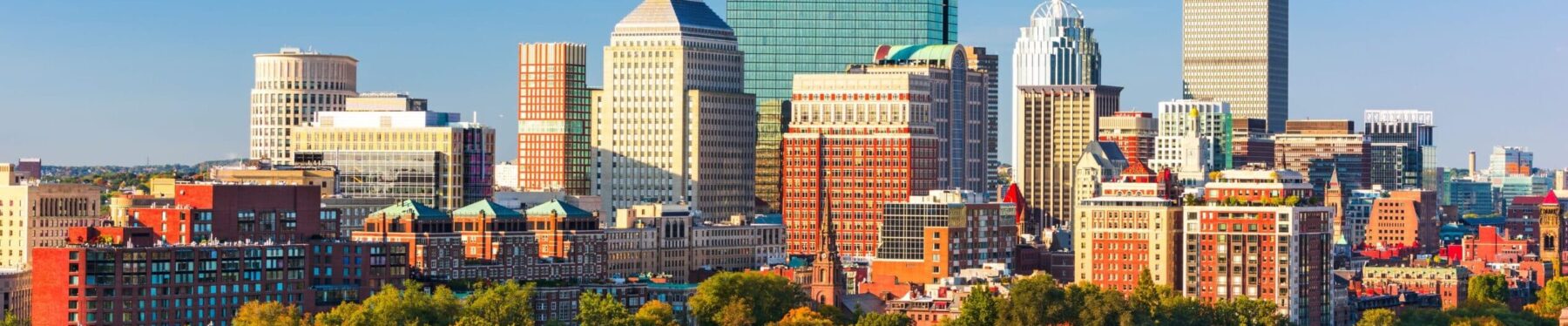 Boston Pest Control | Best Termite & Pest Control Services Near Me ...