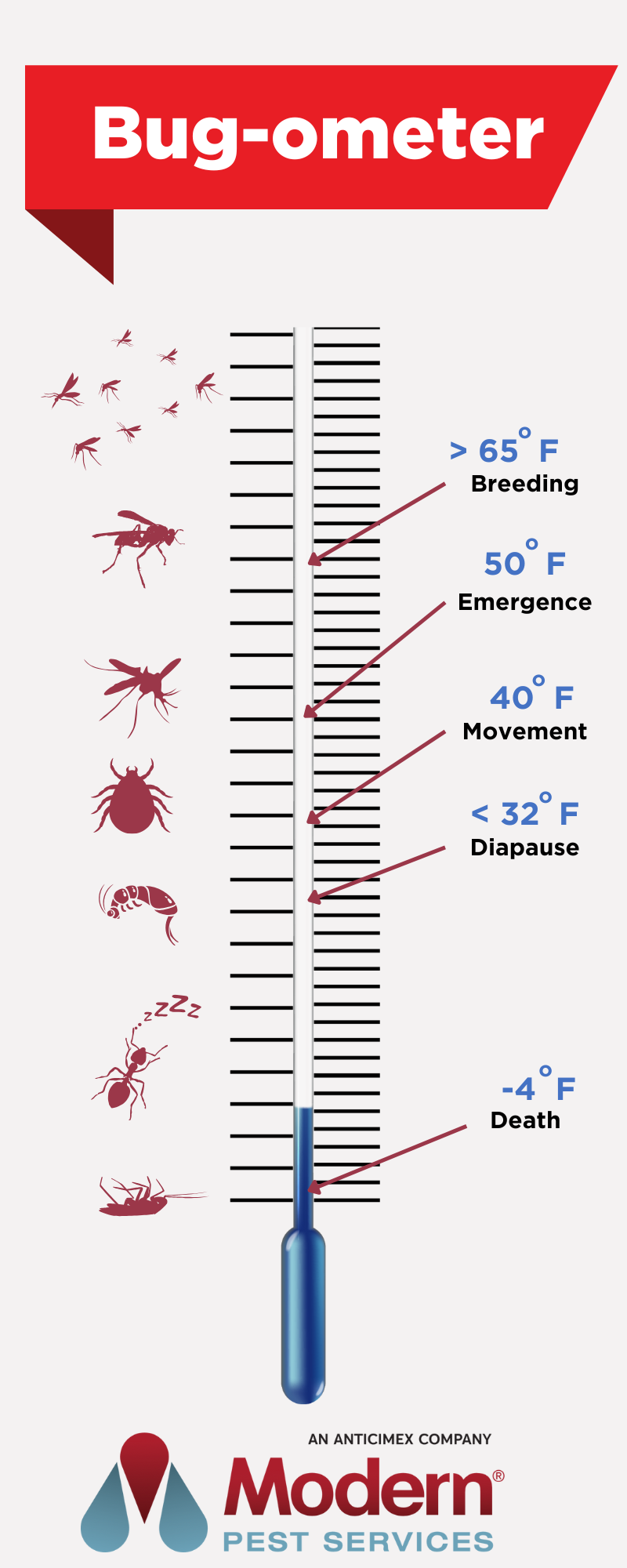 Wake Up Call: What Pests Are Waking Up For Spring and How To Prepare ...