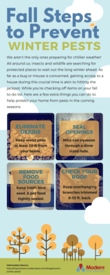 4 Steps To Winterize Your Home Against Pests - Modern Pest Prevention