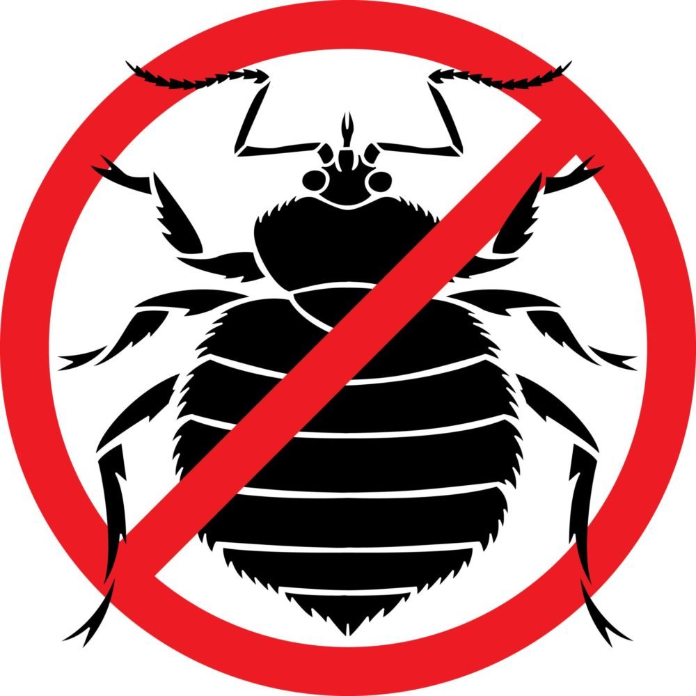 Do It Yourself Bedbug Control | Pest Management in Dorm Room