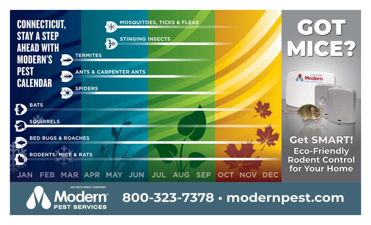 Announcing Modern’s Pest Calendar - Modern Pest Services