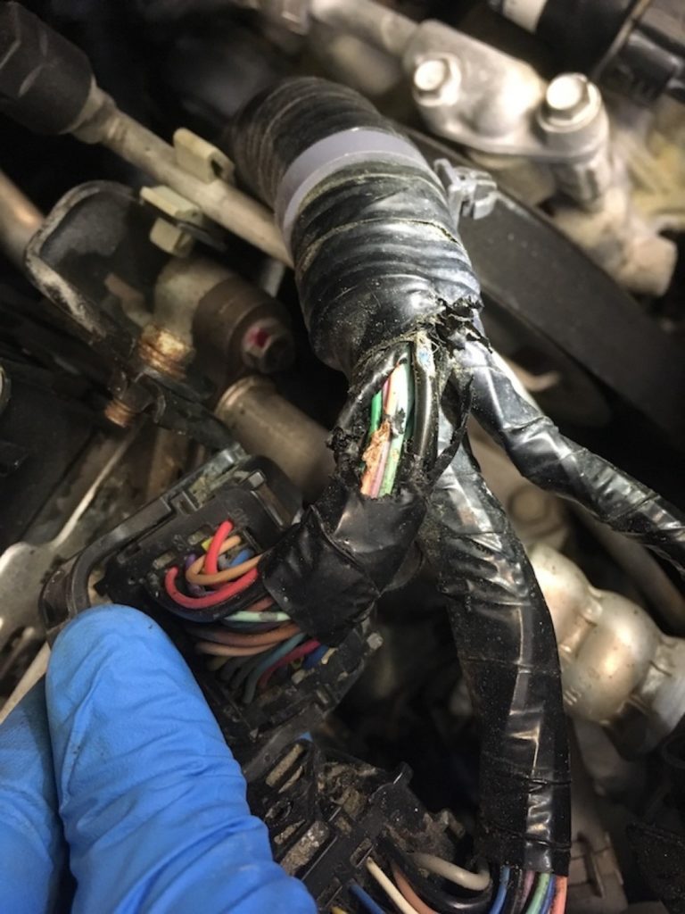 What Happens When Rodents Get into a Car | Modern Pest