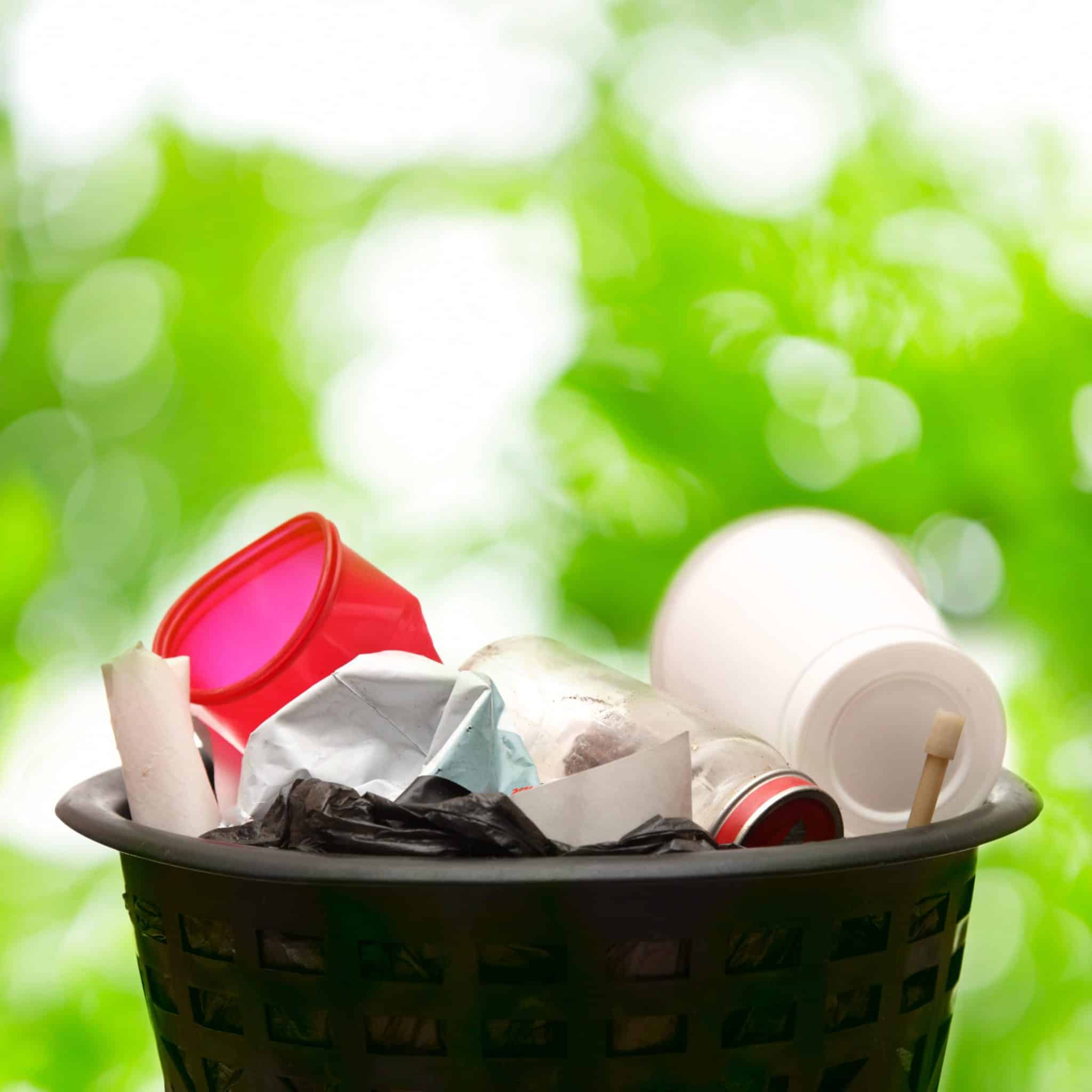 Do's and Don'ts of Wasp Control - Wasp Nest Removal