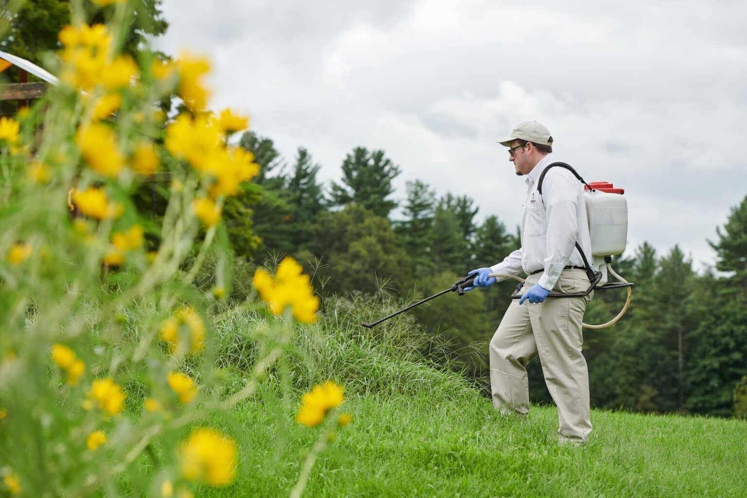 Pest Control & Exterminator Services in ME, MA, NH, CT & RI - Modern Pest