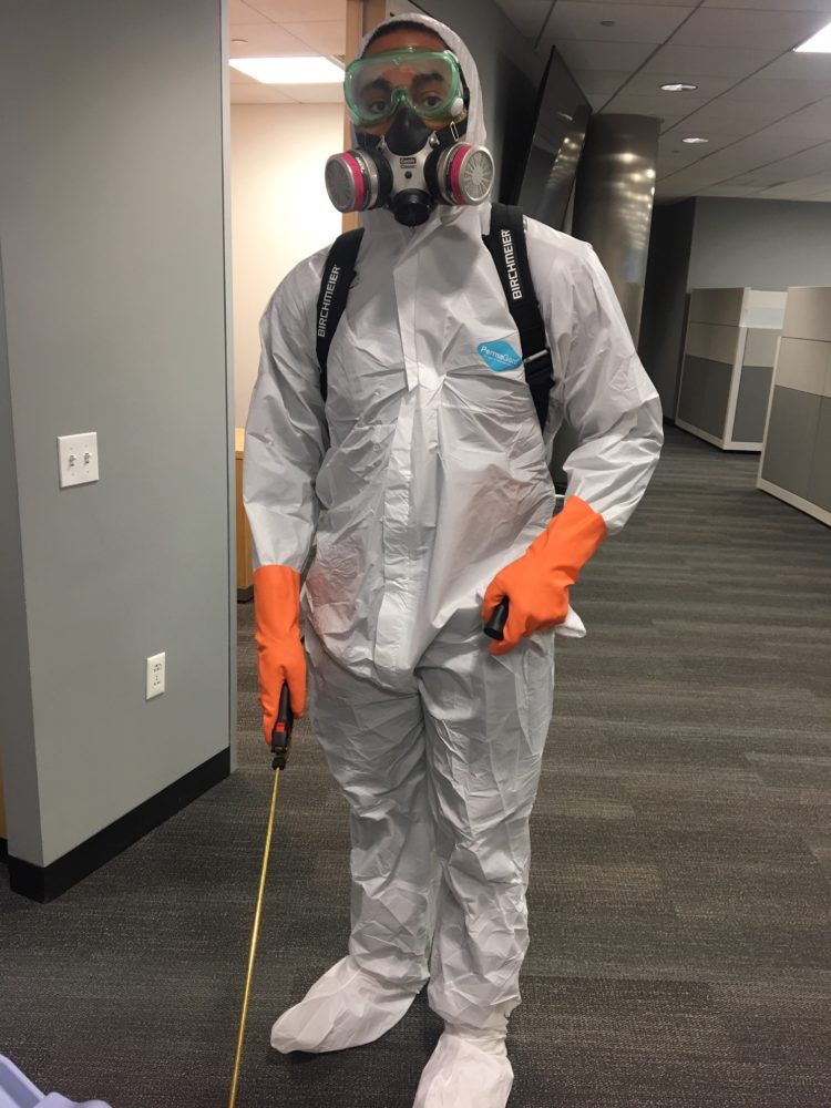 Modern Pest Blog - Page 9 of 40 | Modern Pest