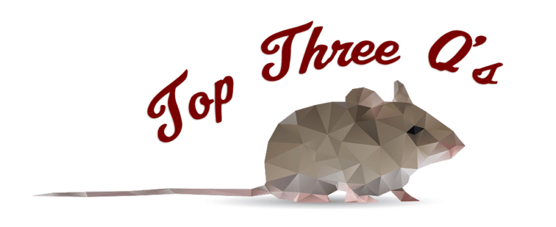 The Top Three Questions About Mice