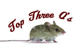 The Top Three Questions About Mice