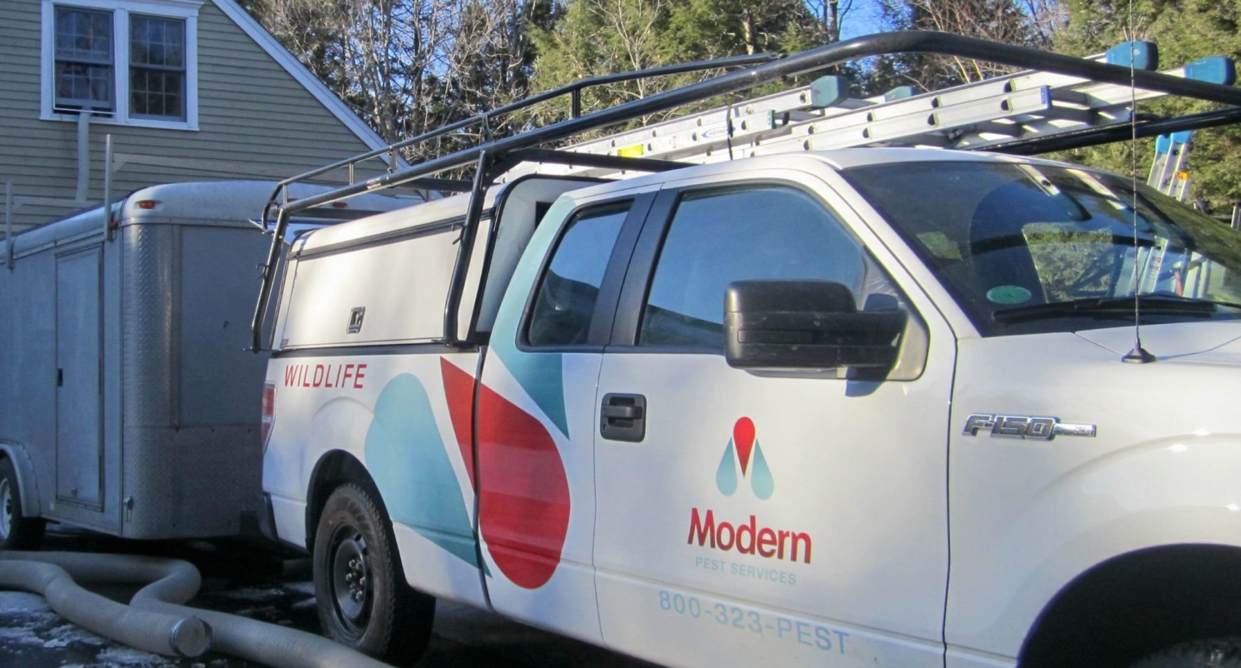 Providence Rodent Control & Extermination | Expert Mice & Rat Removal ...