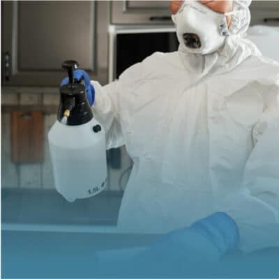 Pest Control & Exterminator Services in ME, MA, NH, CT & RI - Modern Pest