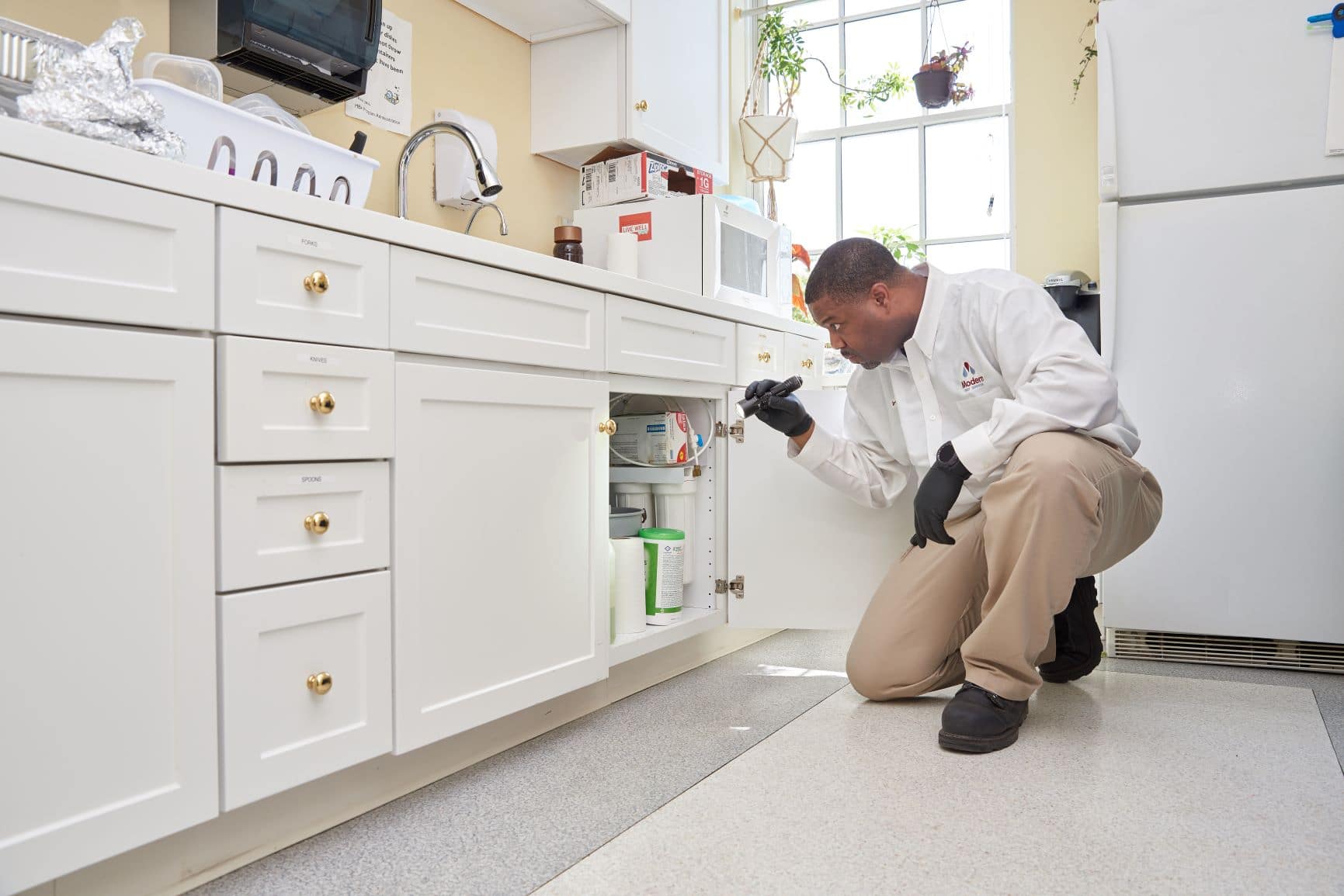 Rodent Proofing Your Home for Fall | Prevent Rodent Infestation ...