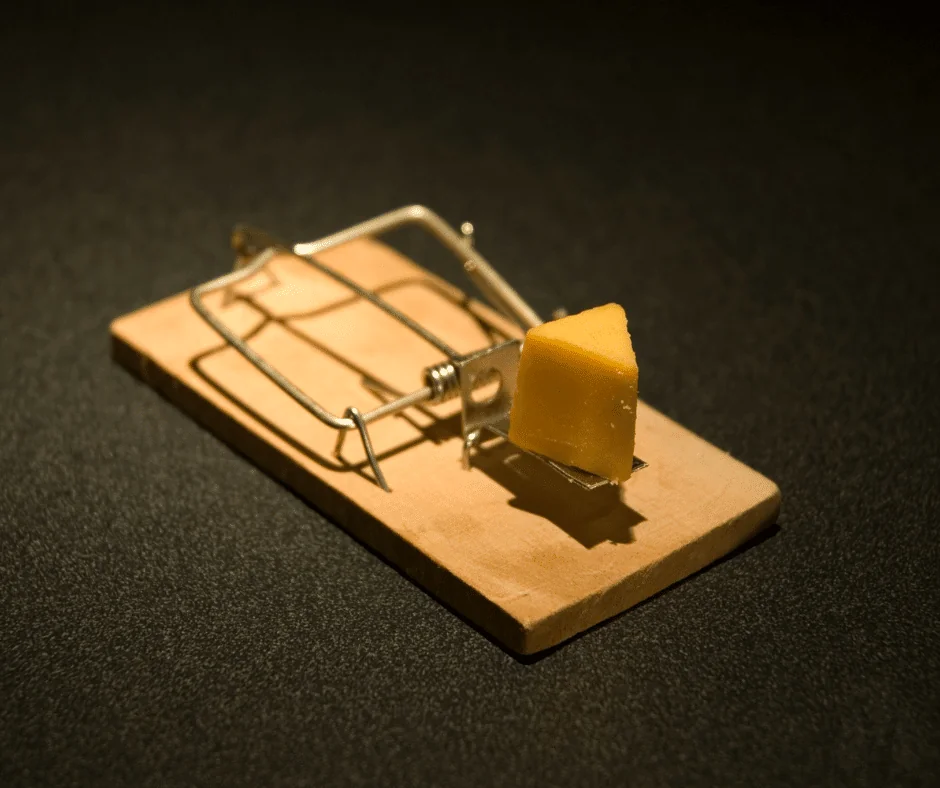 Rodent Control: A History - Modern Pest Services