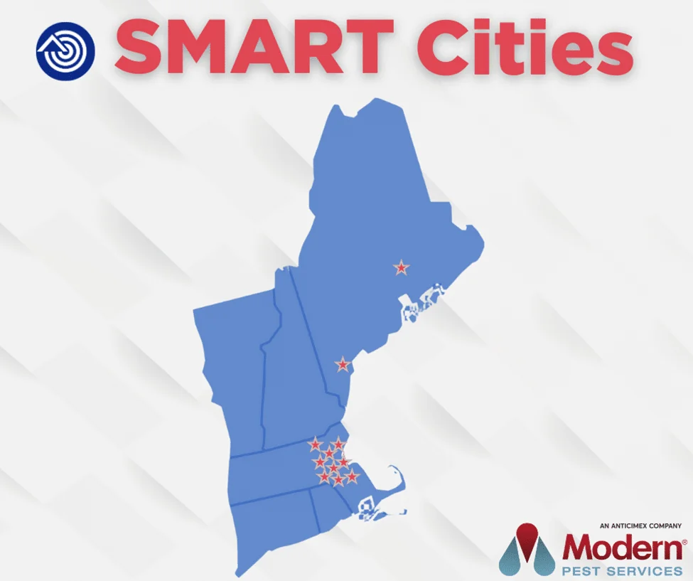 The Future of Pest Control is SMART: Rodenticide-Free Cities - Modern ...