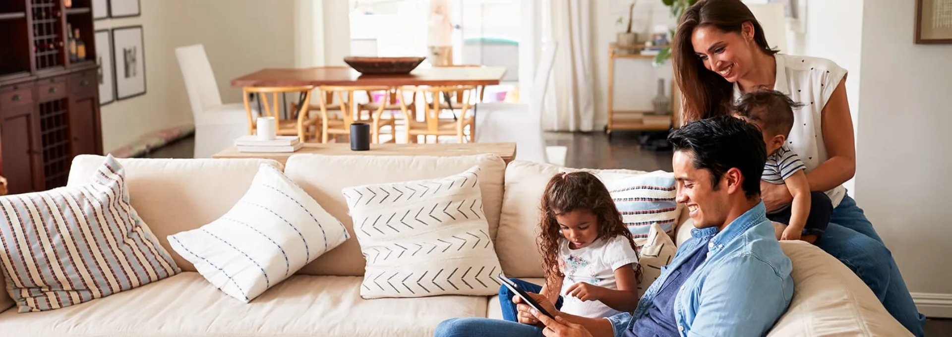 Residential and Commercial Pest Control | Modern Pest Services