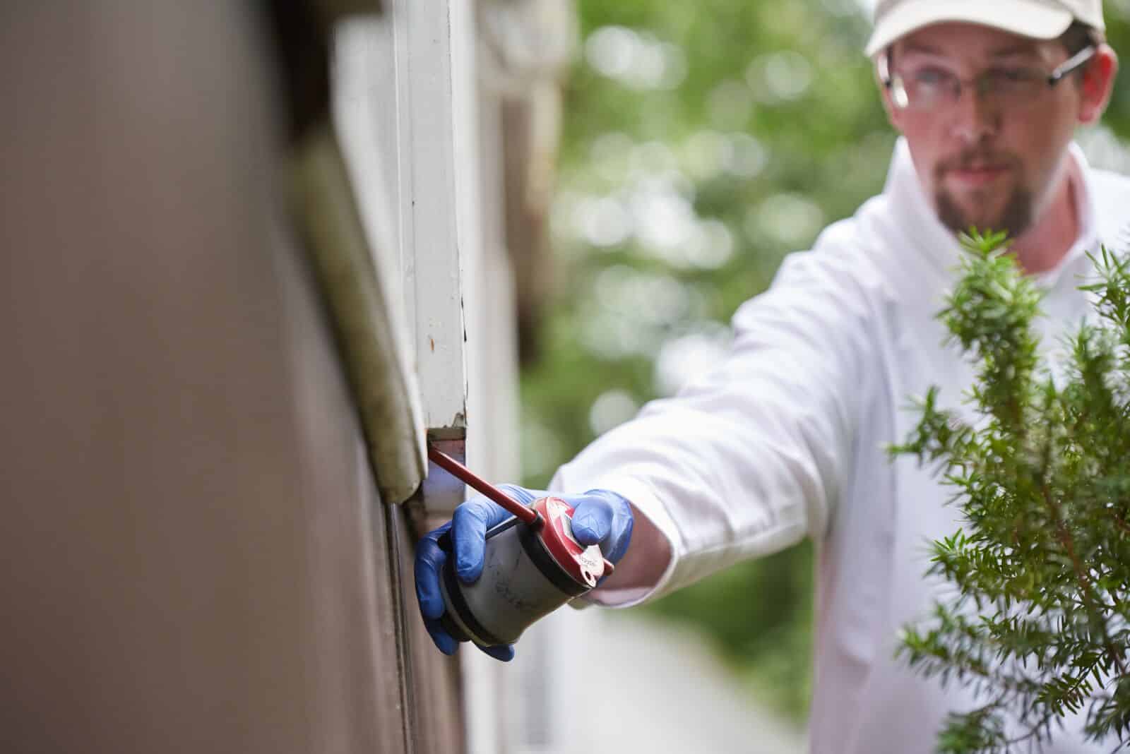 Schedule Your Residential Pest Control Service Today | Modern Pest Services